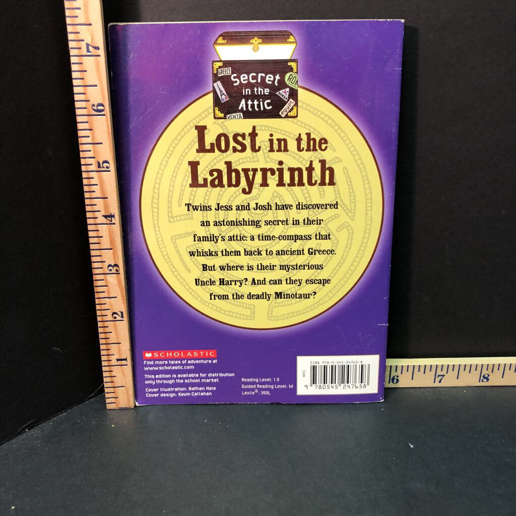 Lost in the Labyrinth (Secret in the Attic) (L.A. Peacock) -series ...