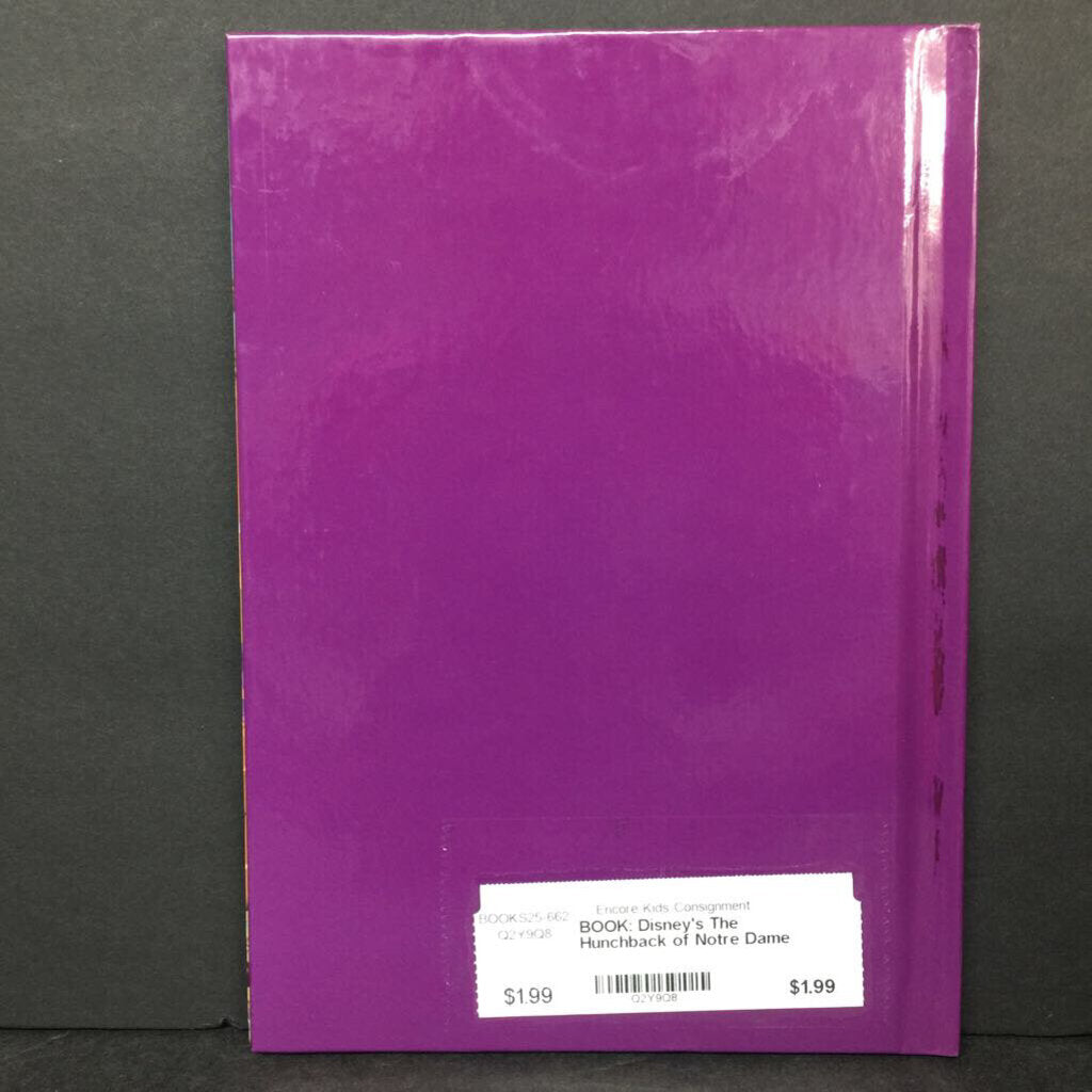 Disney's The Hunchback of Notre Dame (Disney's Wonderful World of Read ...