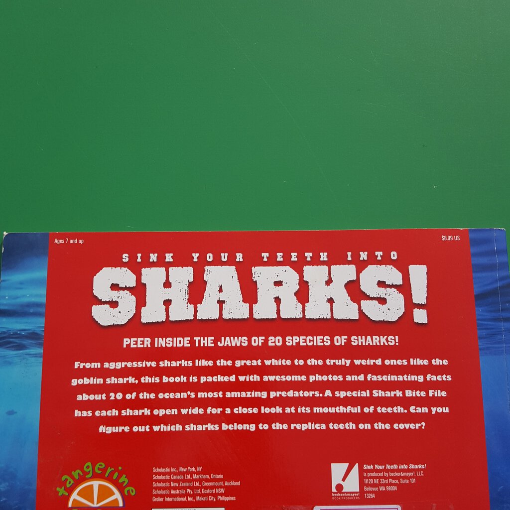 Sink Your Teeth Into Sharks! - educational – Encore Kids Consignment